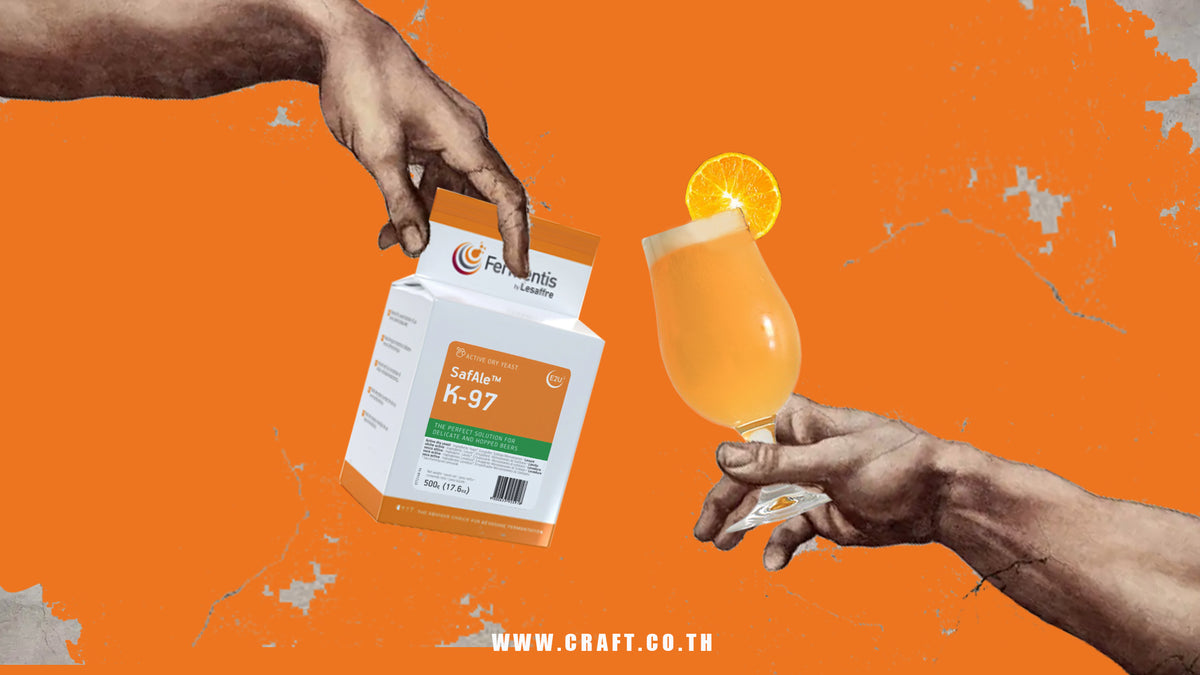 Hoppy แบบทะลุมิติ กับ Fermentis SafAle™ K-97 – Craft Components