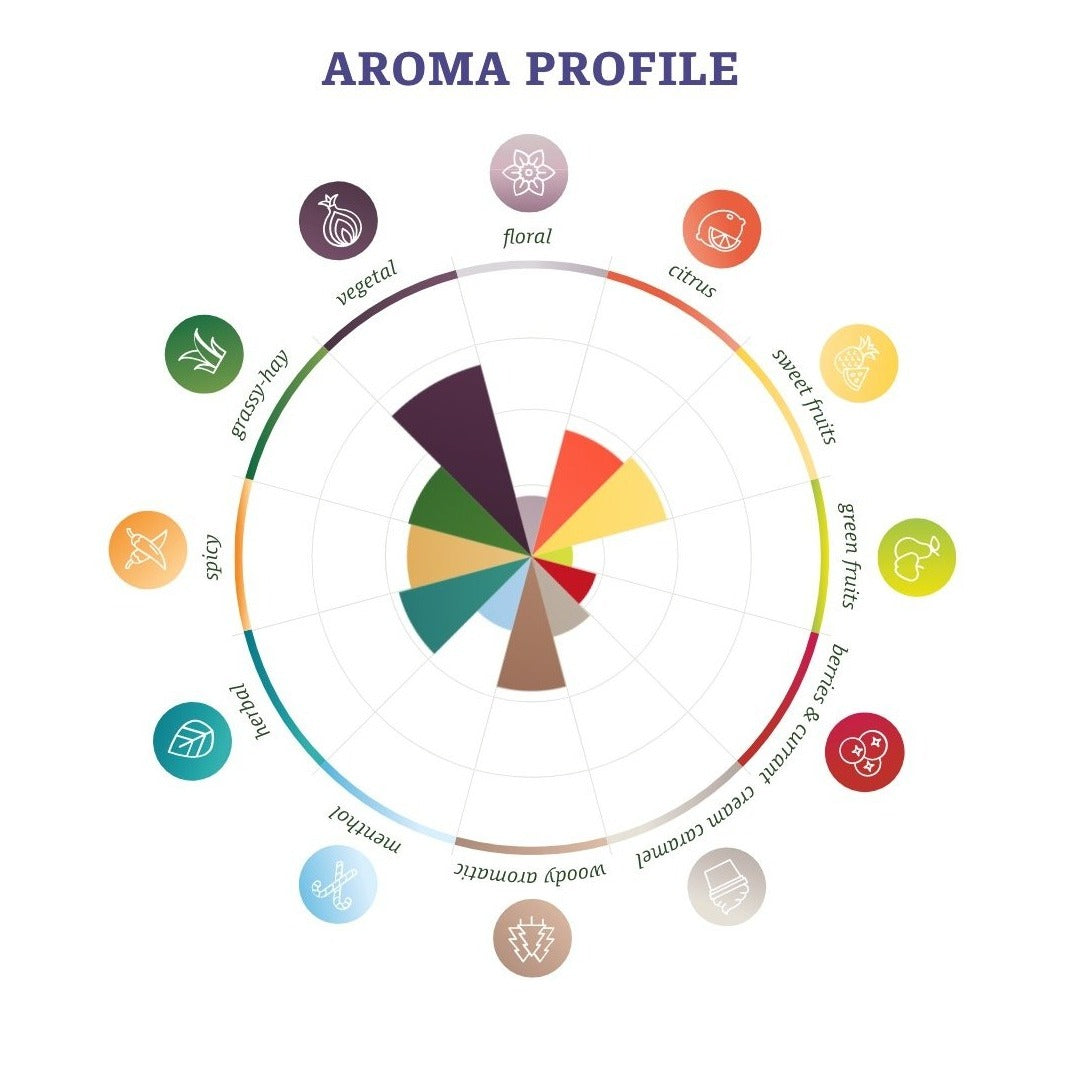 ฮอป ทำเบียร์ Columbus CTZ Hops | ทำเบียร์ คราฟท์ คอมโพเนนท์ Craft ...