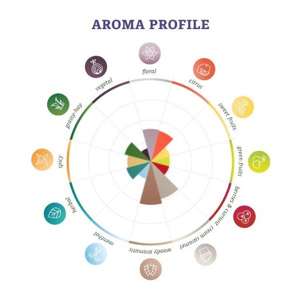 ฮอป ทำเบียร์ Target Hops | ทำเบียร์ คราฟท์ คอมโพเนนท์ Craft Components