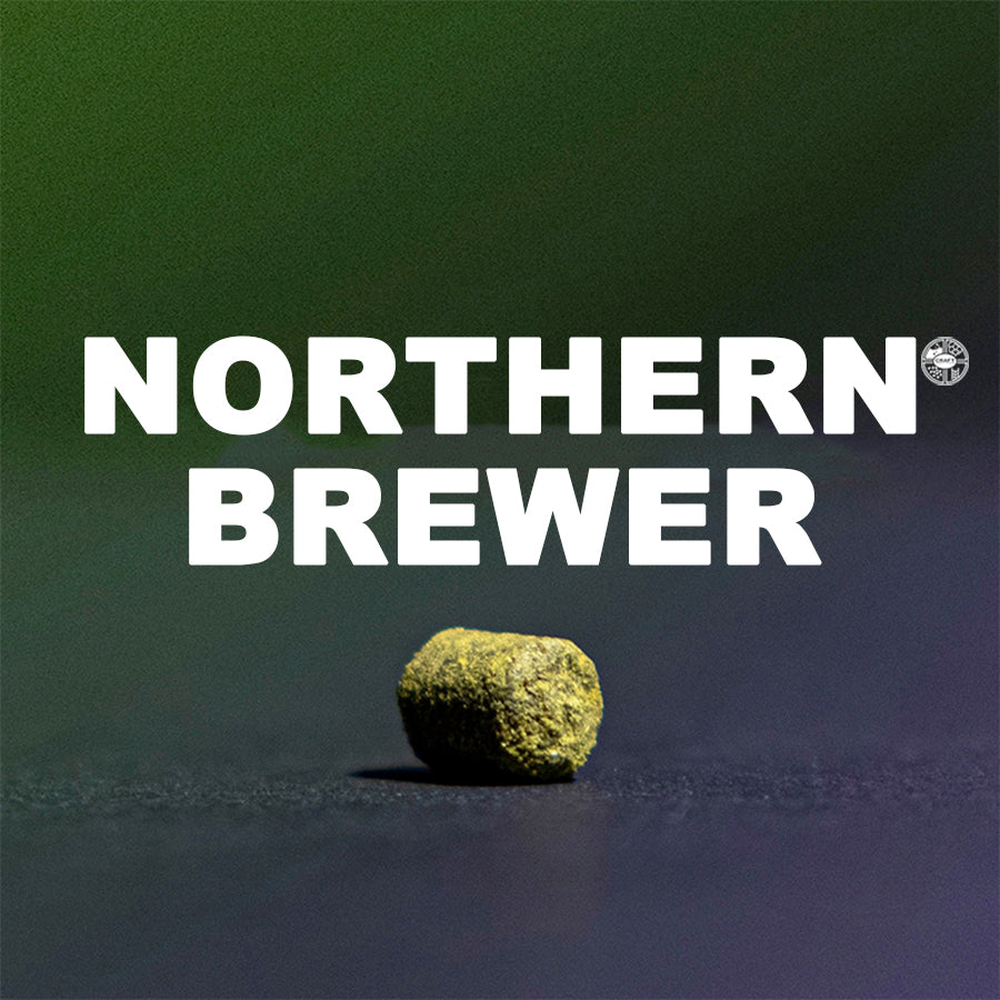 ฮอป ทำเบียร์ Northern Brewer Hops | ทำเบียร์ คราฟท์ คอมโพเนนท์ Craft ...
