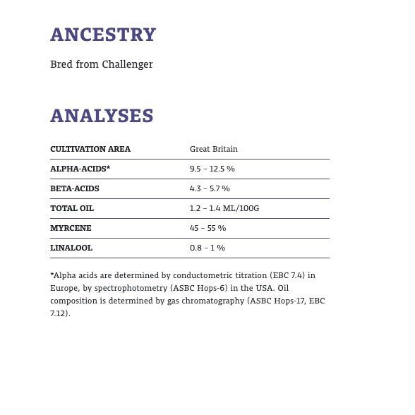 ฮอป ทำเบียร์ Target Hops | ทำเบียร์ คราฟท์ คอมโพเนนท์ Craft Components