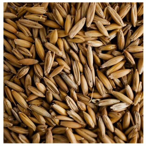 มอลต์ ทำเบียร์ Oat Malt Thomas Fawcett | ทำเบียร์ คราฟท์ คอมโพเนนท์ ...